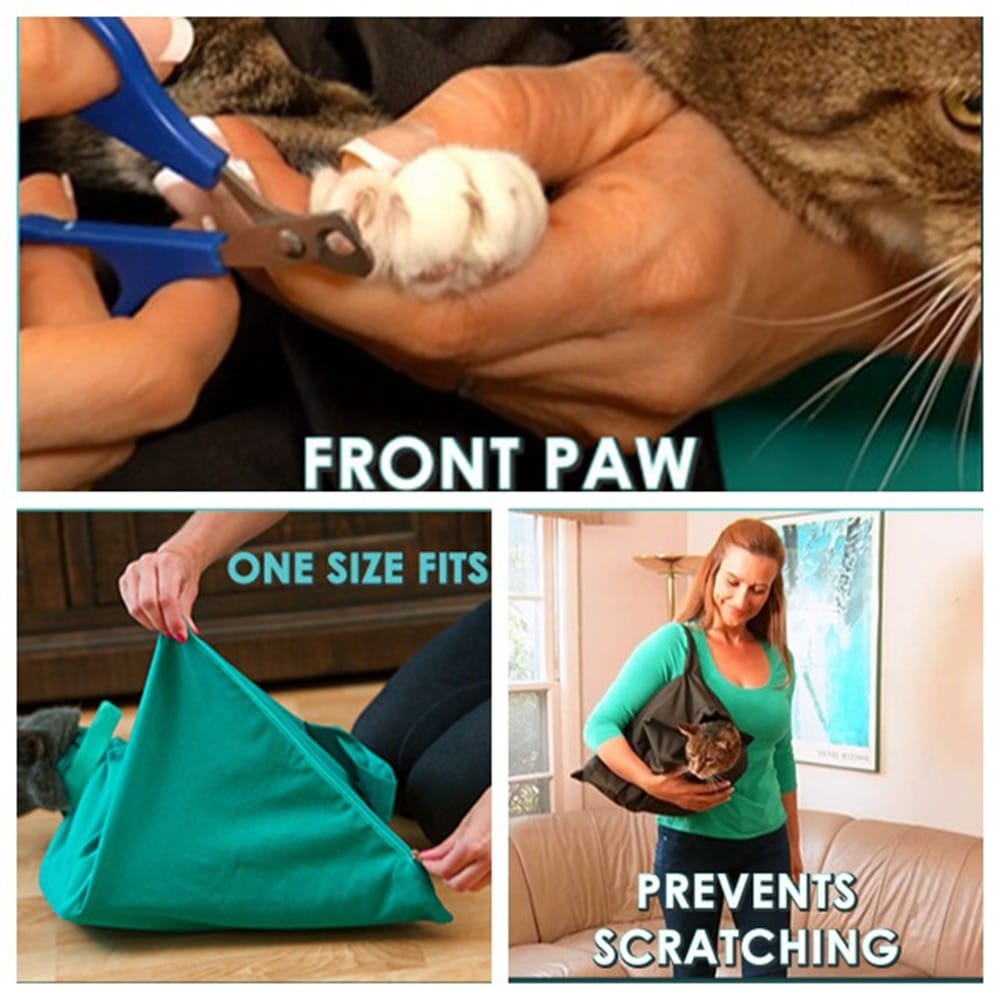 Cat Pouch Pet Carrier | Catastic