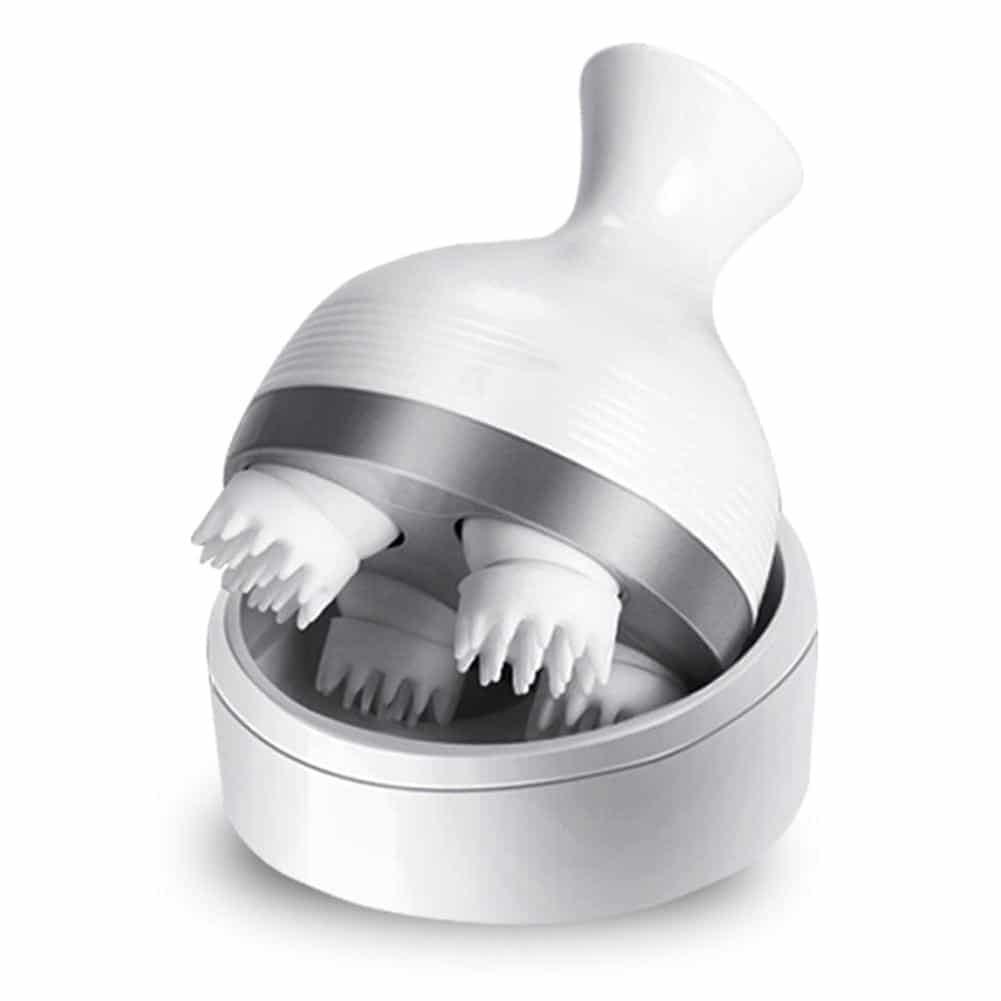 Automatic Cat Massager | Catastic