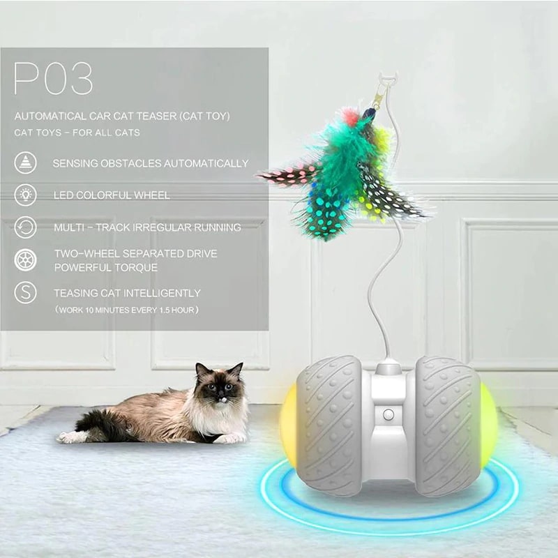 Rechargeable Smart Cat Toy | Catastic