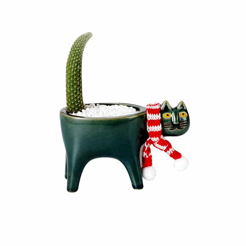 Ceramic Cat Planter | Catastic Gifts For Cat Lovers
