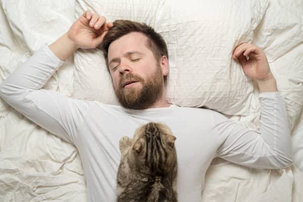 What Sleeping Positions Say About Your Cat | Catastic