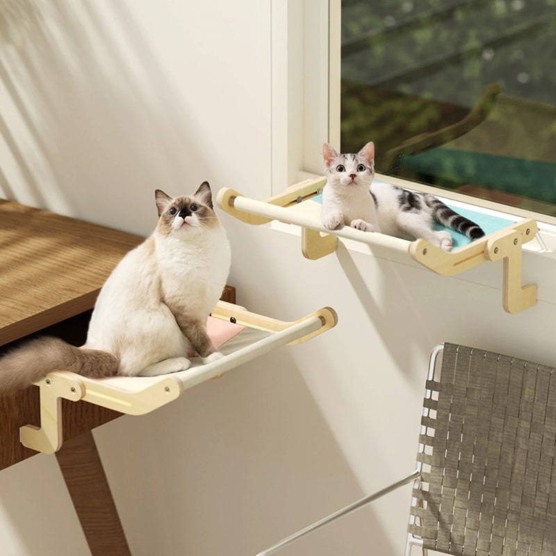 Window Perch for Cats | Catastic