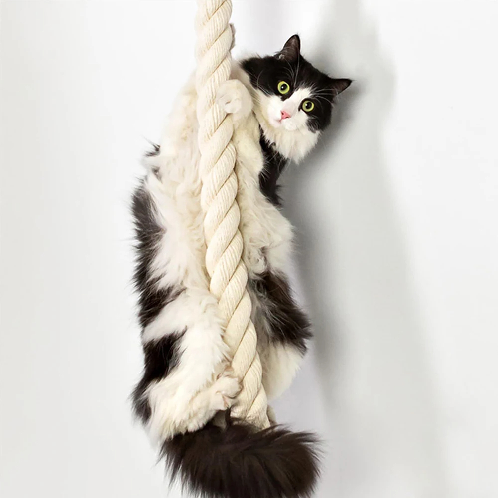 Cat Climbing Rope – Wall-Mounted Adventure | Catastic